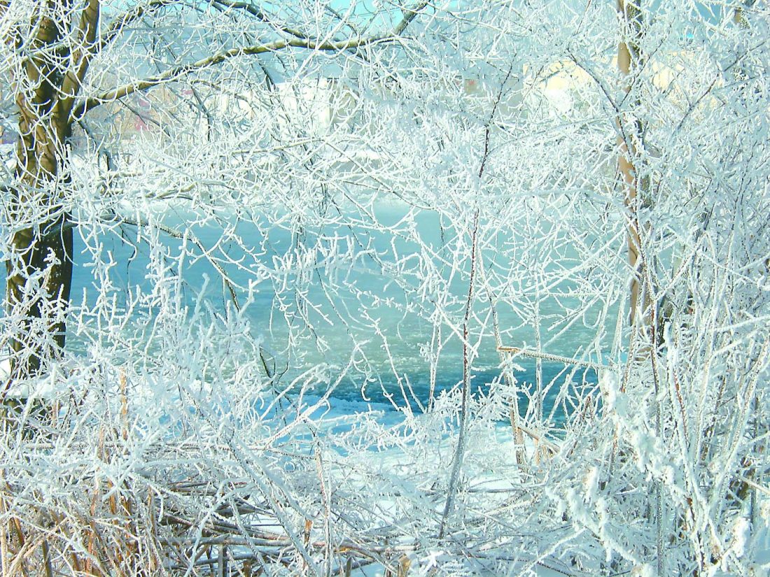 The freeze: June snow in 1859 brought ‘calamity’ to Warren County ...